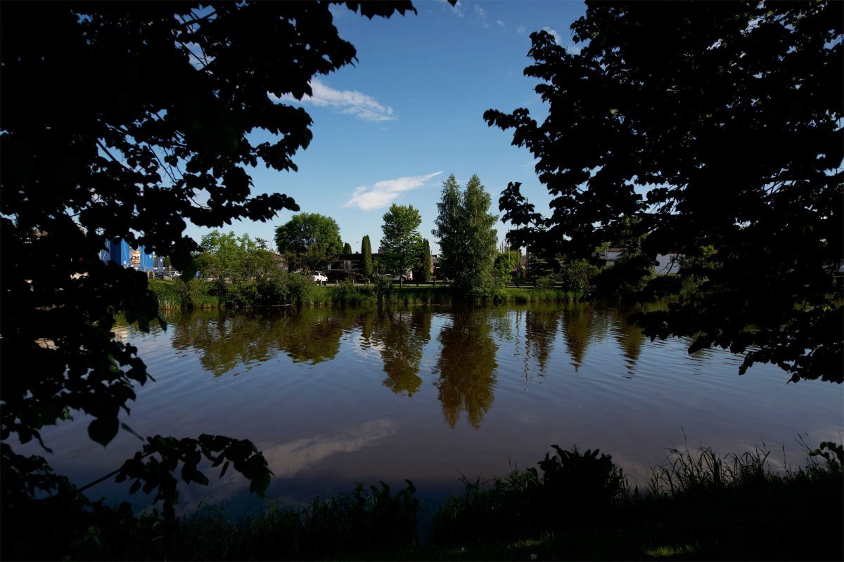 Robert Jago | The Walrus