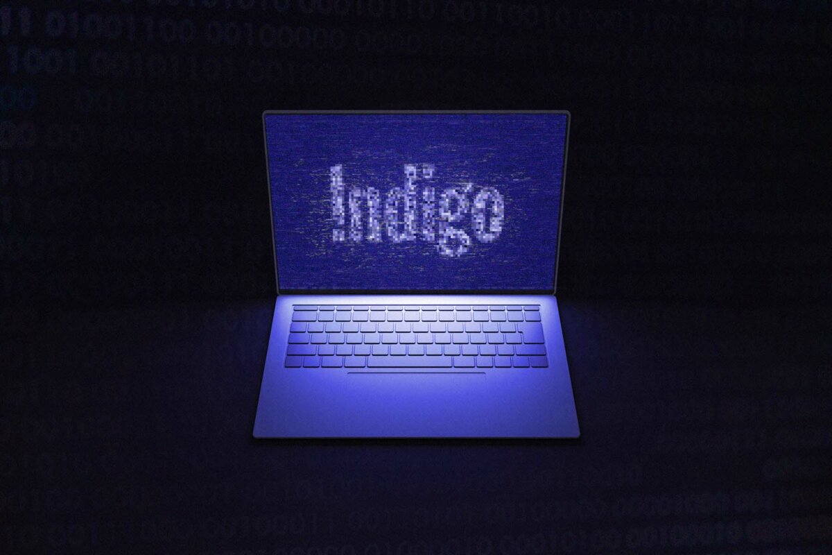 The Indigo Cyberattack Is a Warning of Things to Come | The Walrus