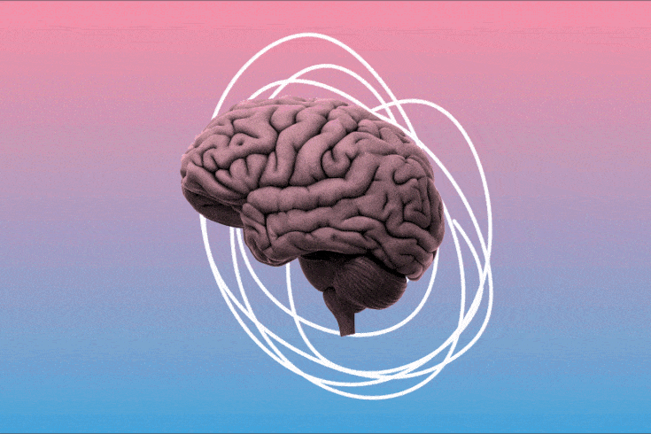 The Walrus | Canada's Conversation