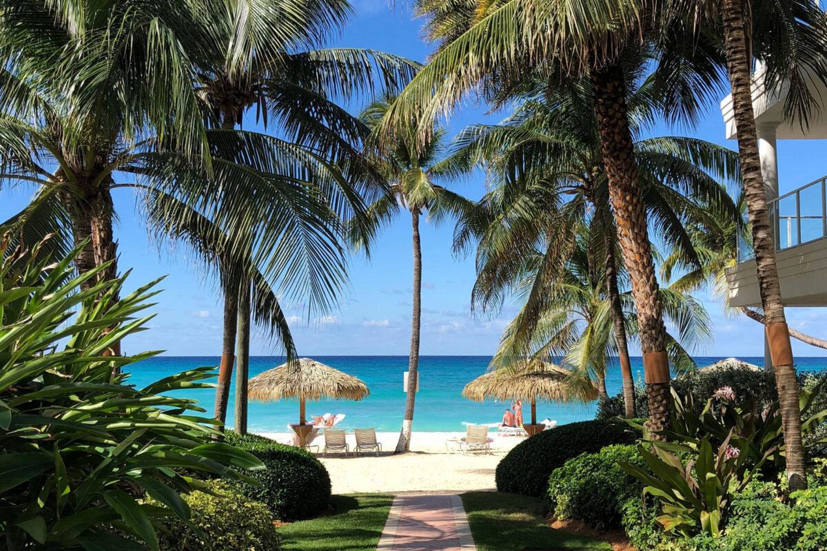 The Walrus | Canada's Conversation