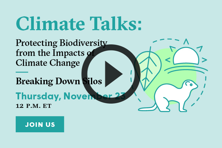 November 2, 2023 November 27, 2023 - by The Walrus The Walrus Updated ...