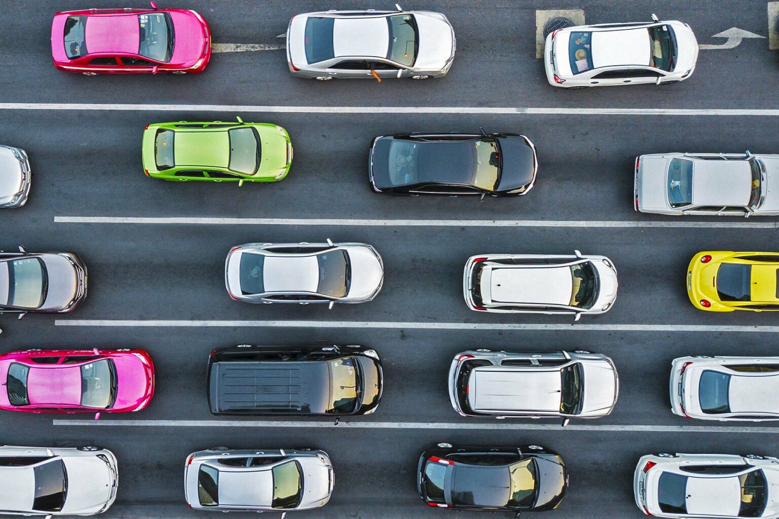 Michelle Cyca | The Walrus