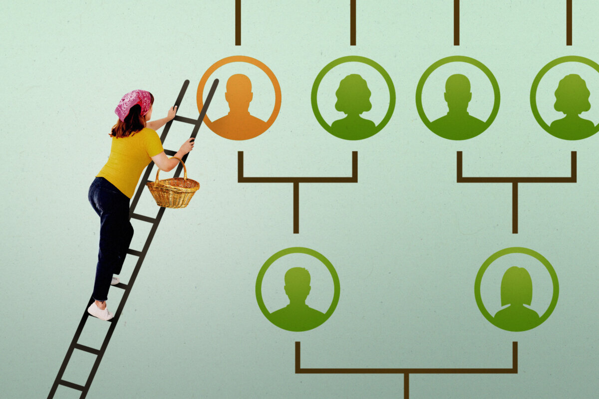 Michelle Cyca | The Walrus