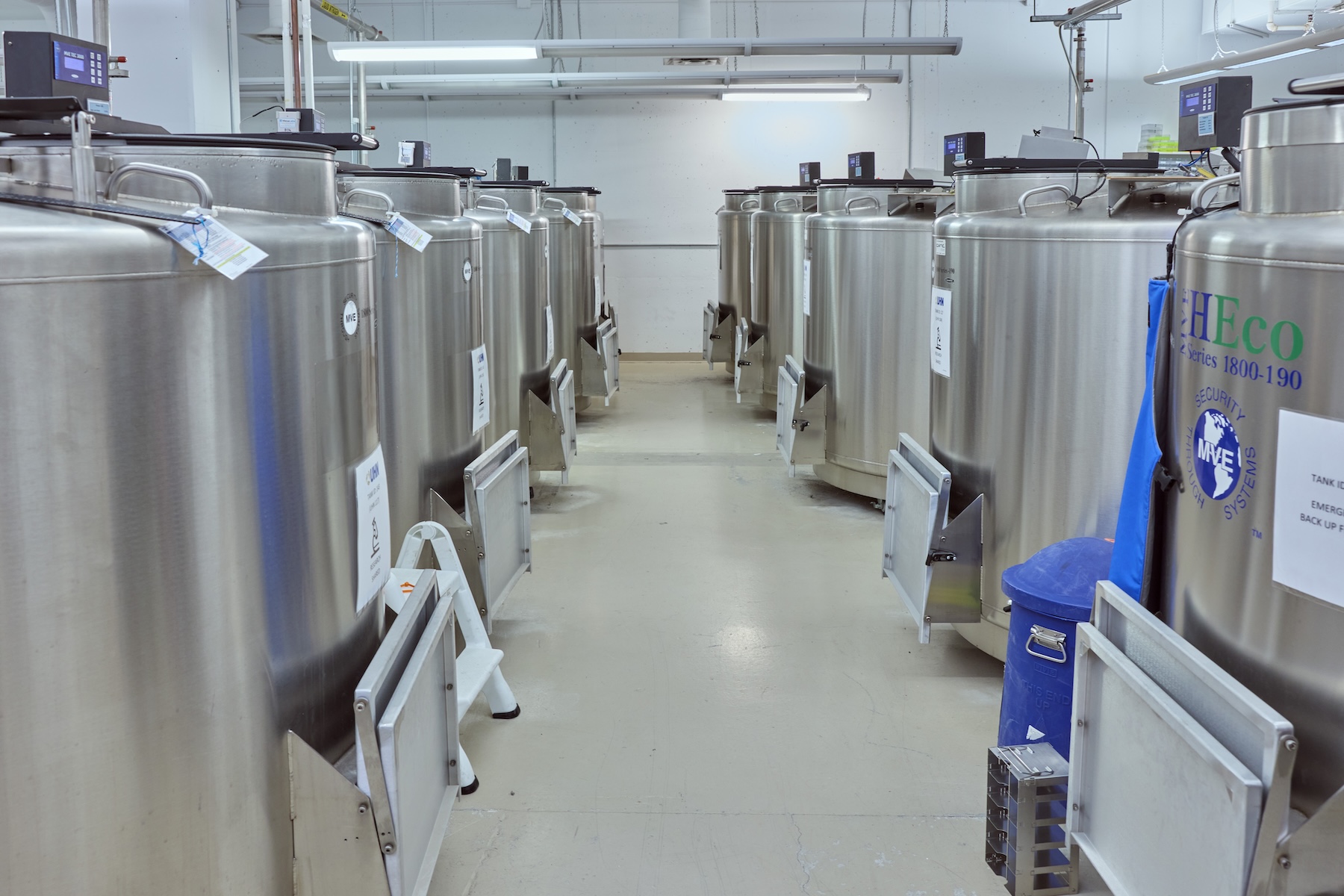 Photo of rows of metal, cylindrical storage tanks.