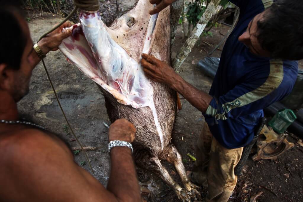 The Return of Gold Fever | The Walrus