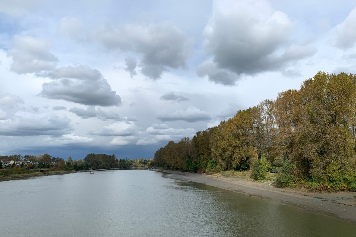 Robert Jago | The Walrus