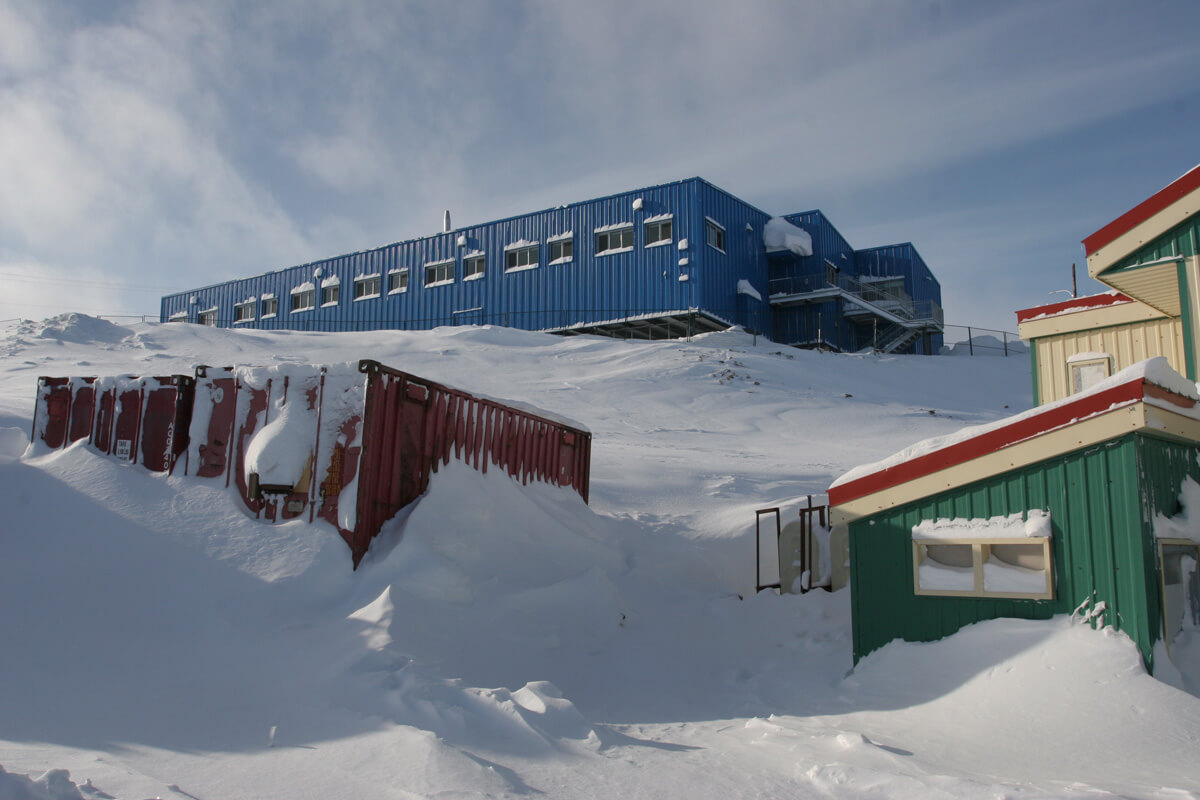 The Future of Inuit Art | The Walrus