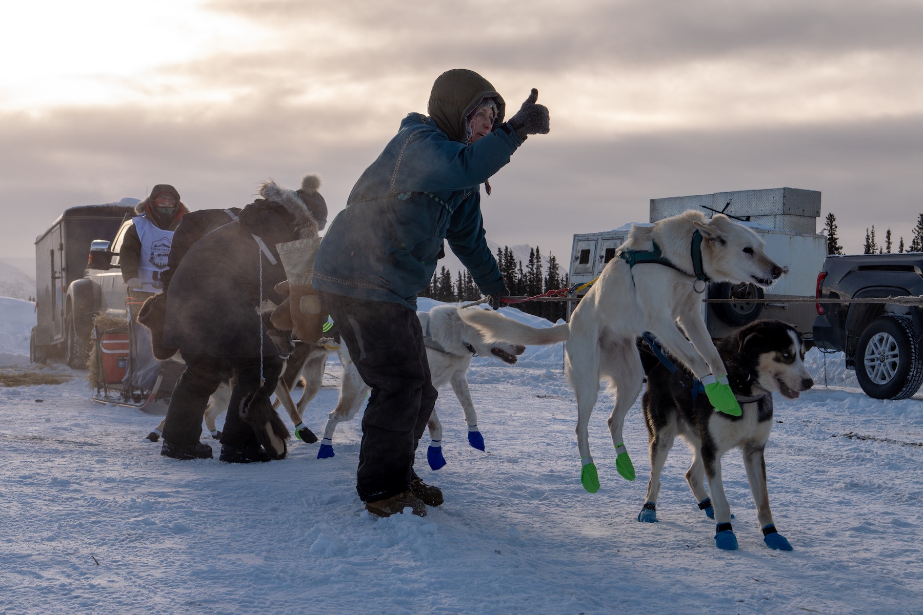Photo of a woman in a parka standing by harnessed sled dogs and giving ...