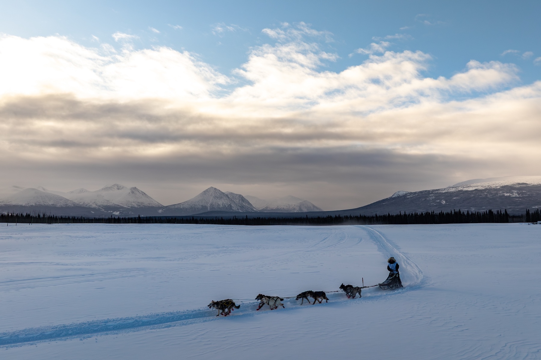 Photo of a dog sled racing across an open, snowy field with a large ...