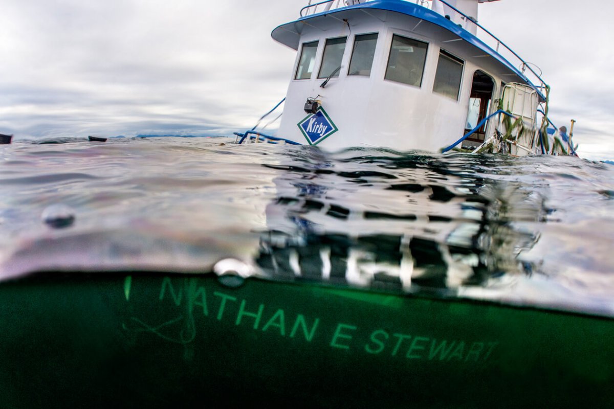 Christopher Pollon | The Walrus