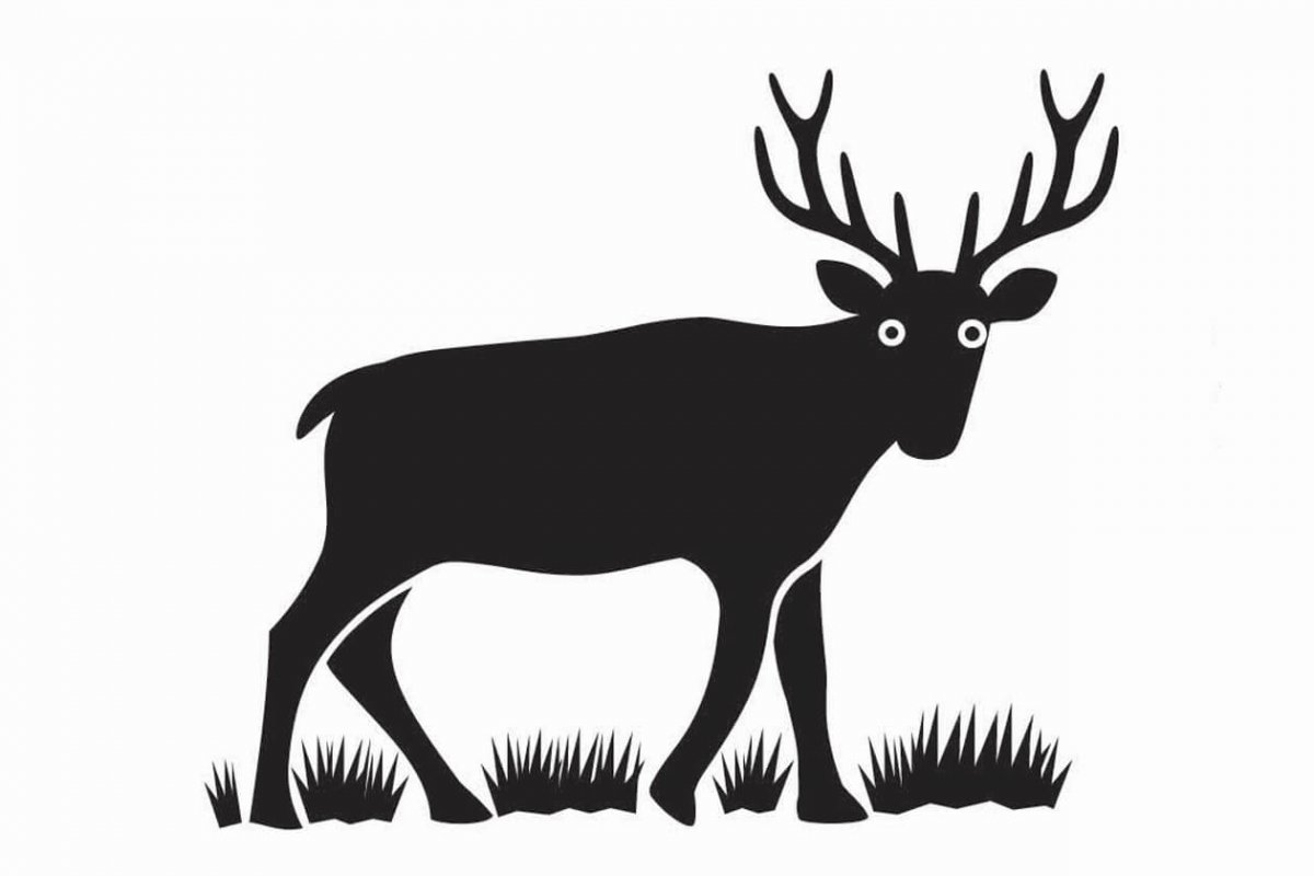 The Art of the Snag | The Walrus