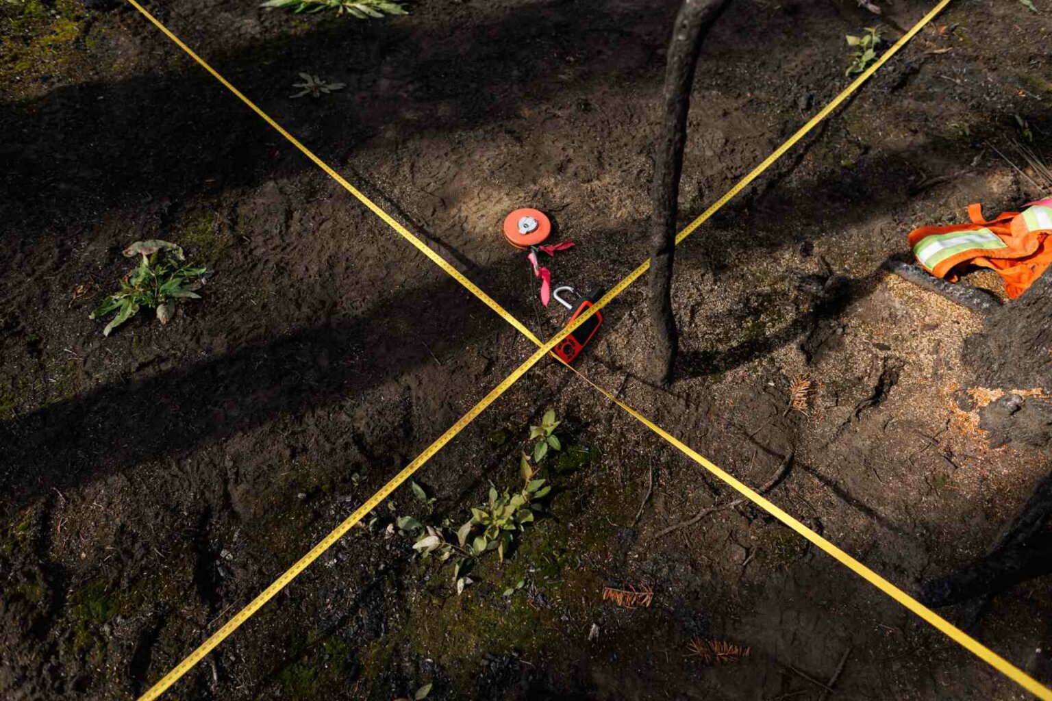 A GPS device and a flag mark the centre of a sample-collection plot ...