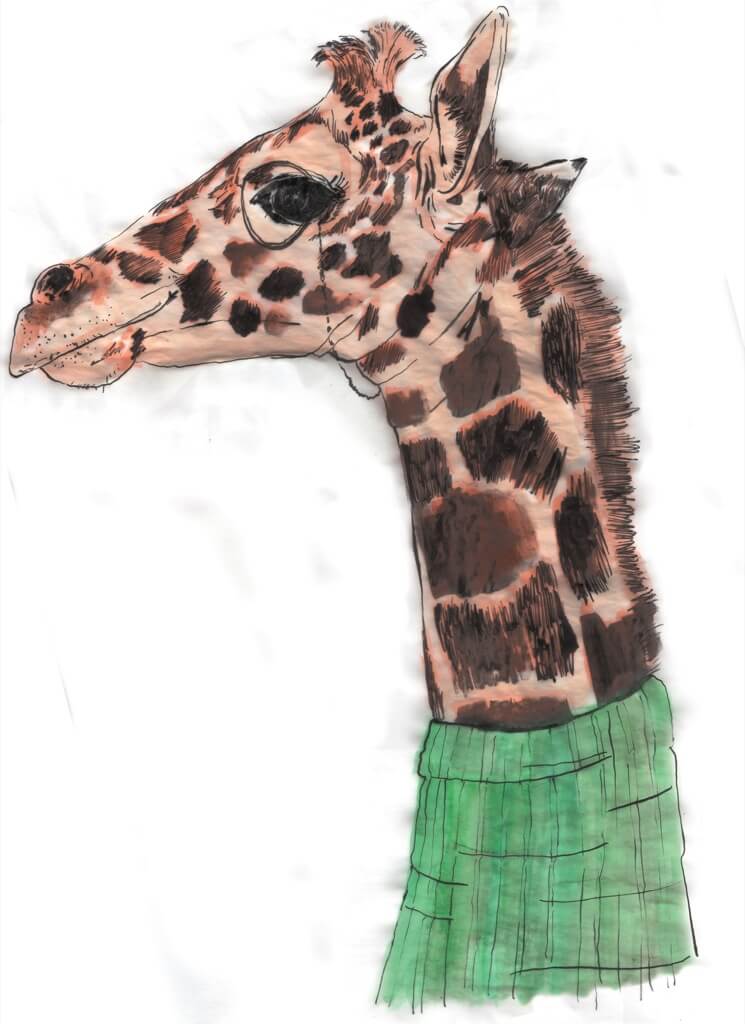 The Walrus Reads | The Walrus