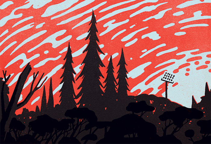 How Long and What a Marvel | The Walrus