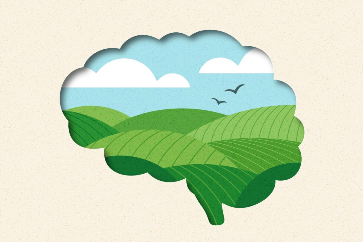 iStock